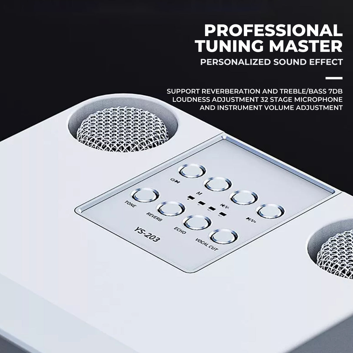 SENTRY YS-203 WIRELESS KARAOKE SPEAKER – Electronics Boutique Online